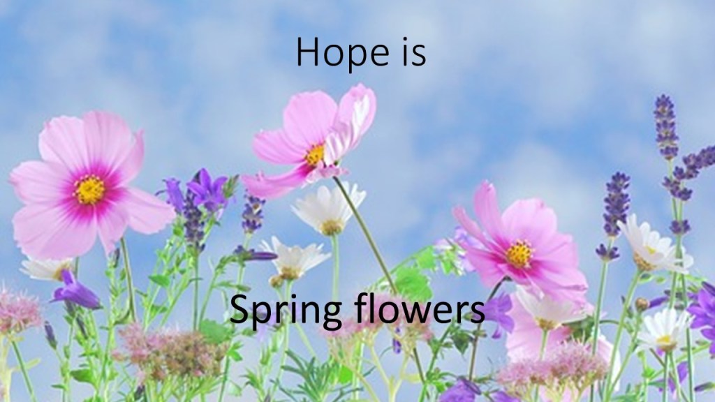 Hope is Spring Flowers | counselorssoapbox