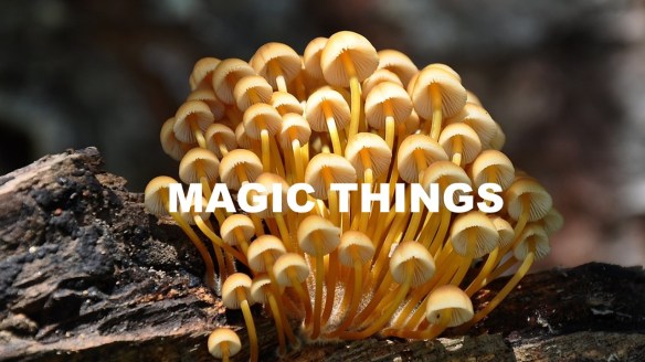 Magic all around us | counselorssoapbox