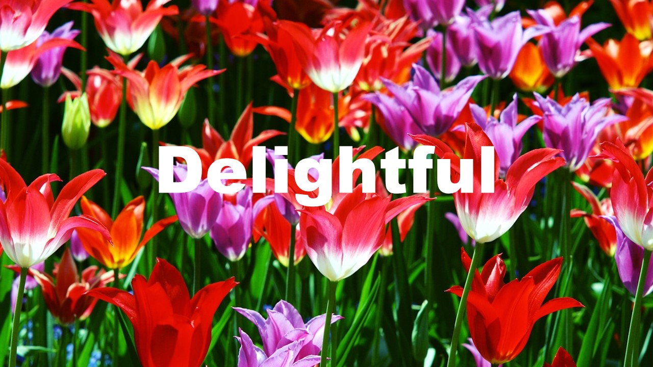 Delightful. | counselorssoapbox