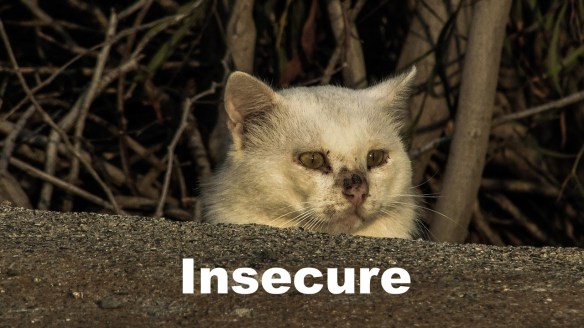 Insecure. | counselorssoapbox