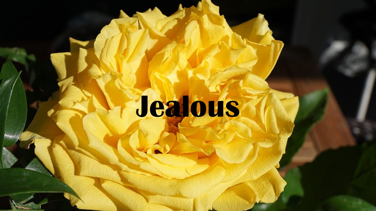 Jealous. | counselorssoapbox