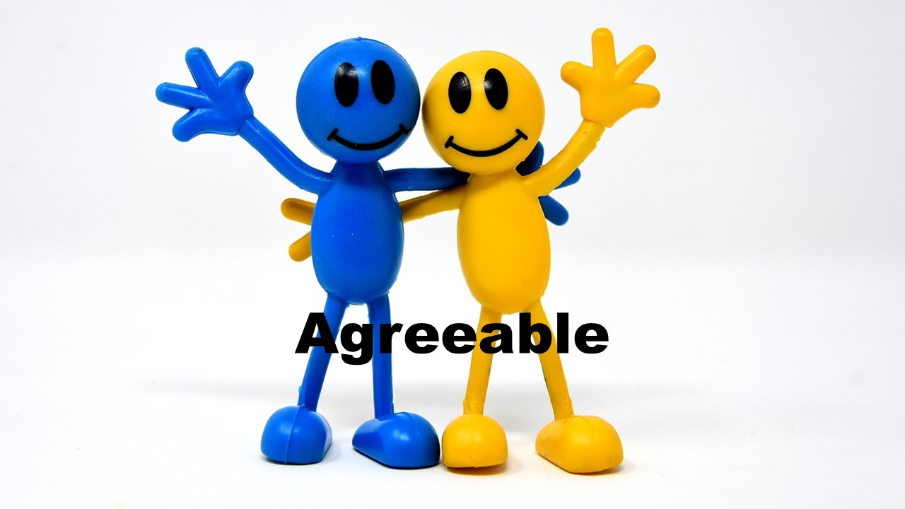 Agreeable | counselorssoapbox