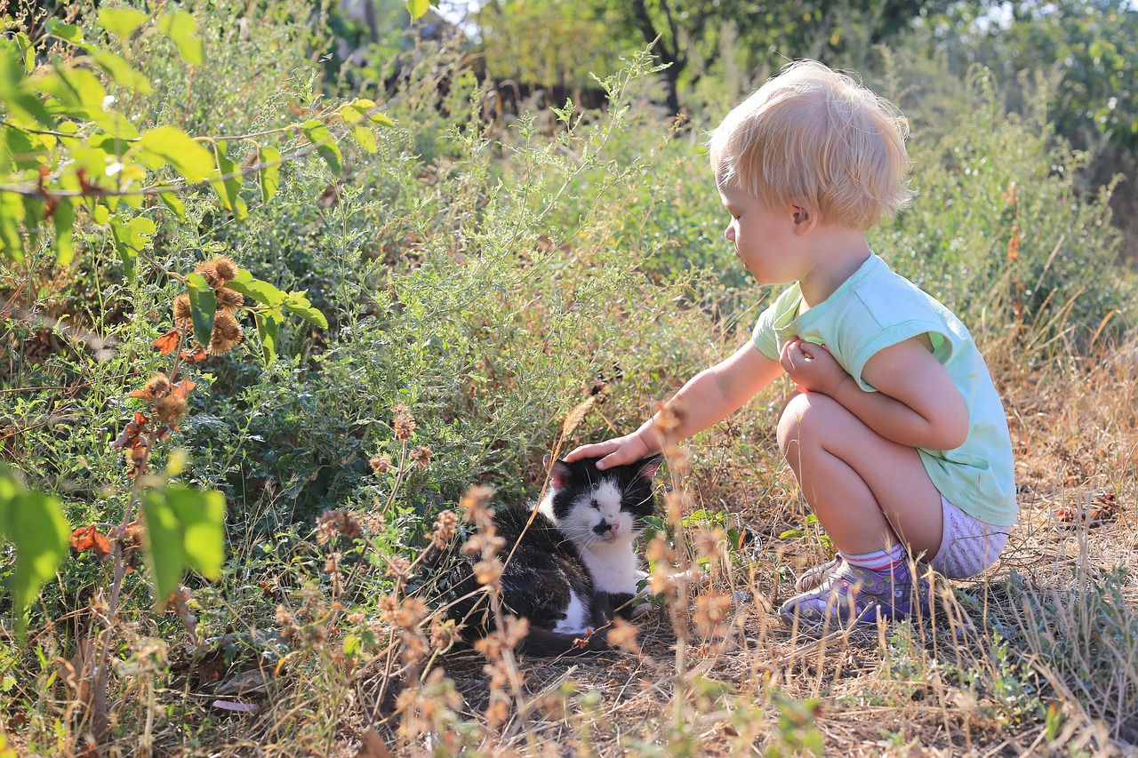 Activating your self-soothing system. | counselorssoapbox