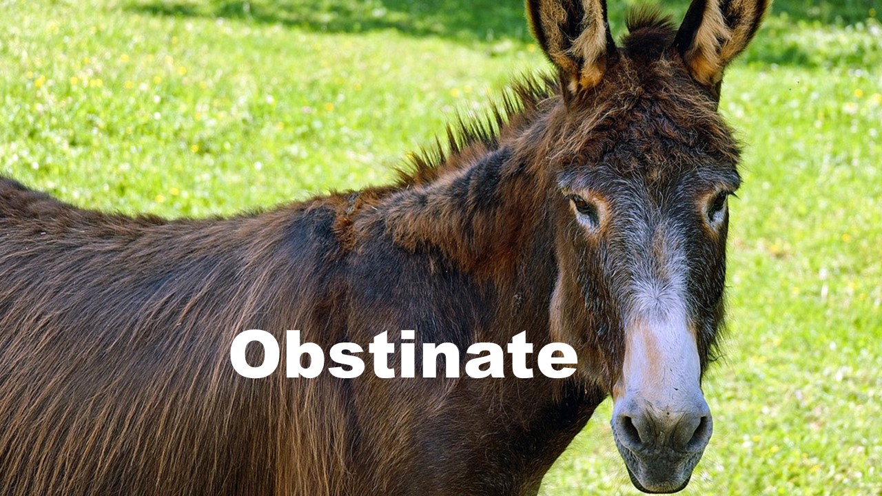 counselorssoapbox | Counseling, Therapy, Recovery and having a Happy Life