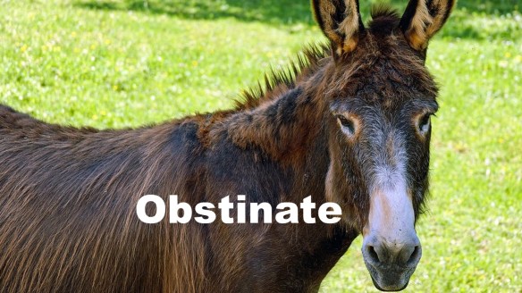 counselorssoapbox | Counseling, Therapy, Recovery and having a Happy Life