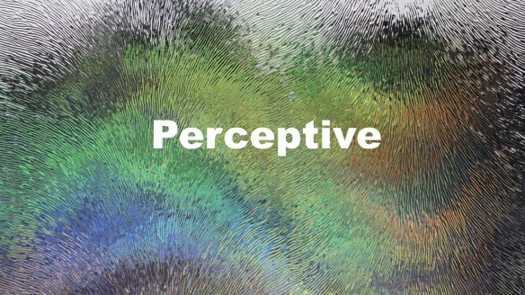 Perceptive | counselorssoapbox