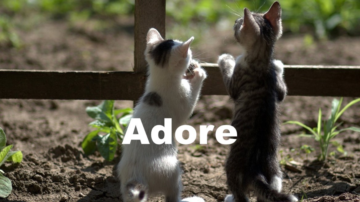 counselorssoapbox | Counseling, Therapy, Recovery and having a Happy Life