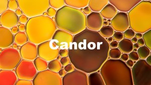 counselorssoapbox | Counseling, Therapy, Recovery and having a Happy Life