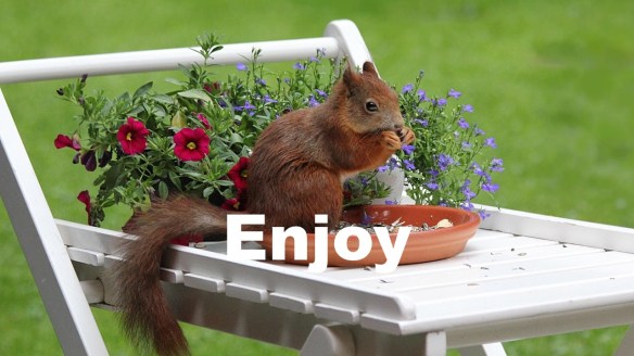 Enjoy | counselorssoapbox